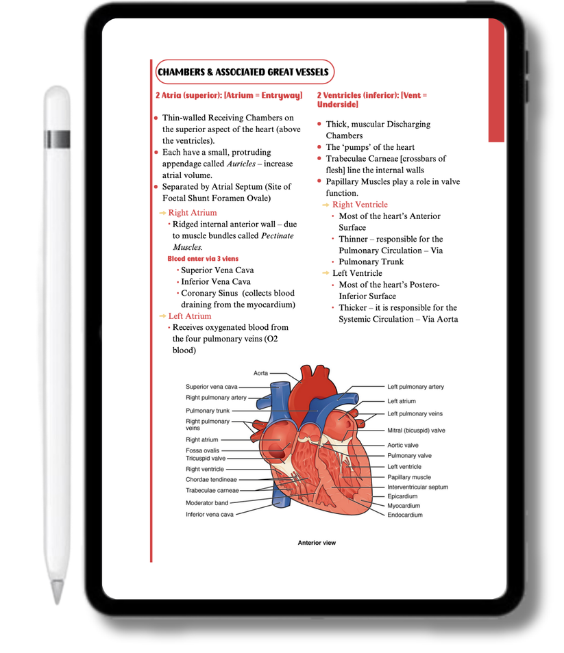 ALL 21 SUBJECTS – MedSchoolNote