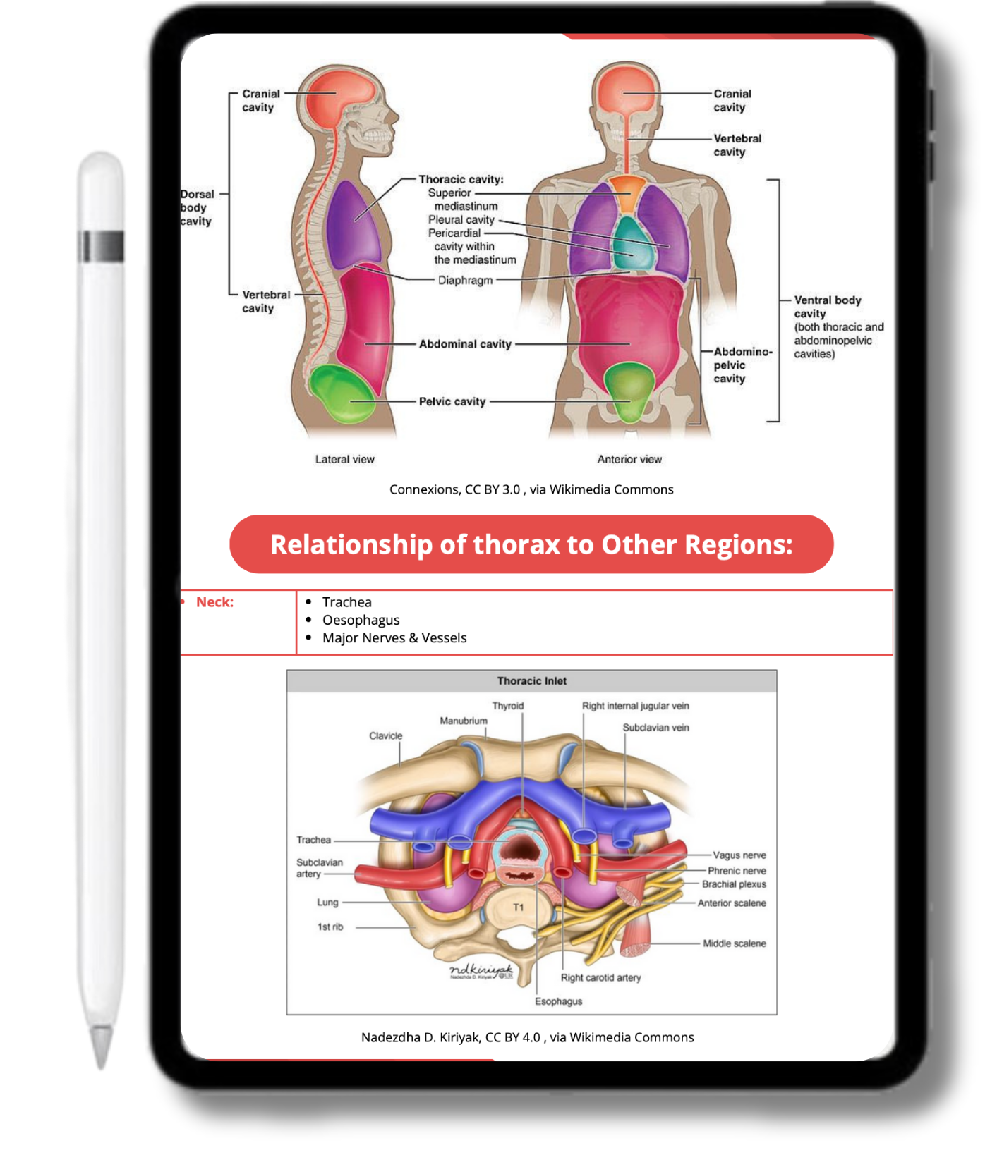 ALL 21 SUBJECTS – MedSchoolNote