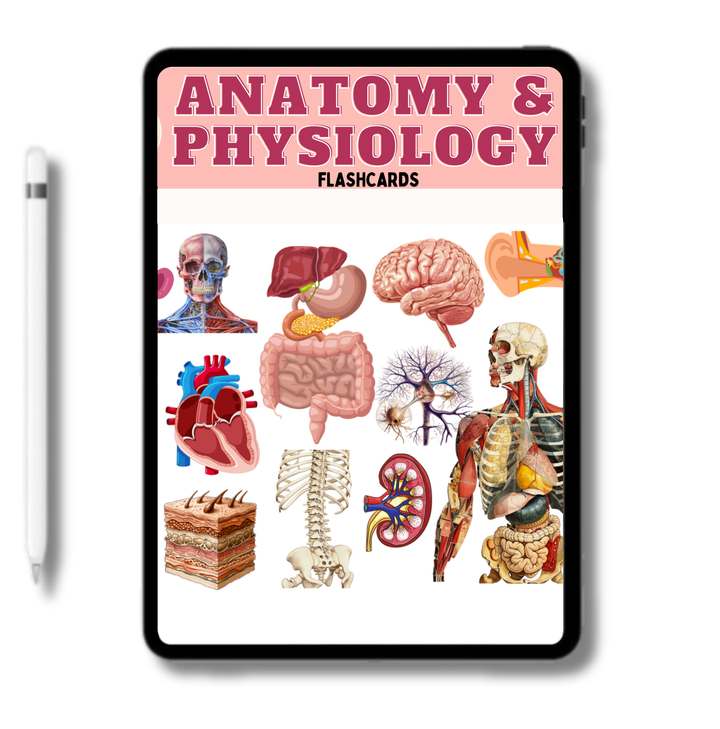 Products – MedSchoolNote