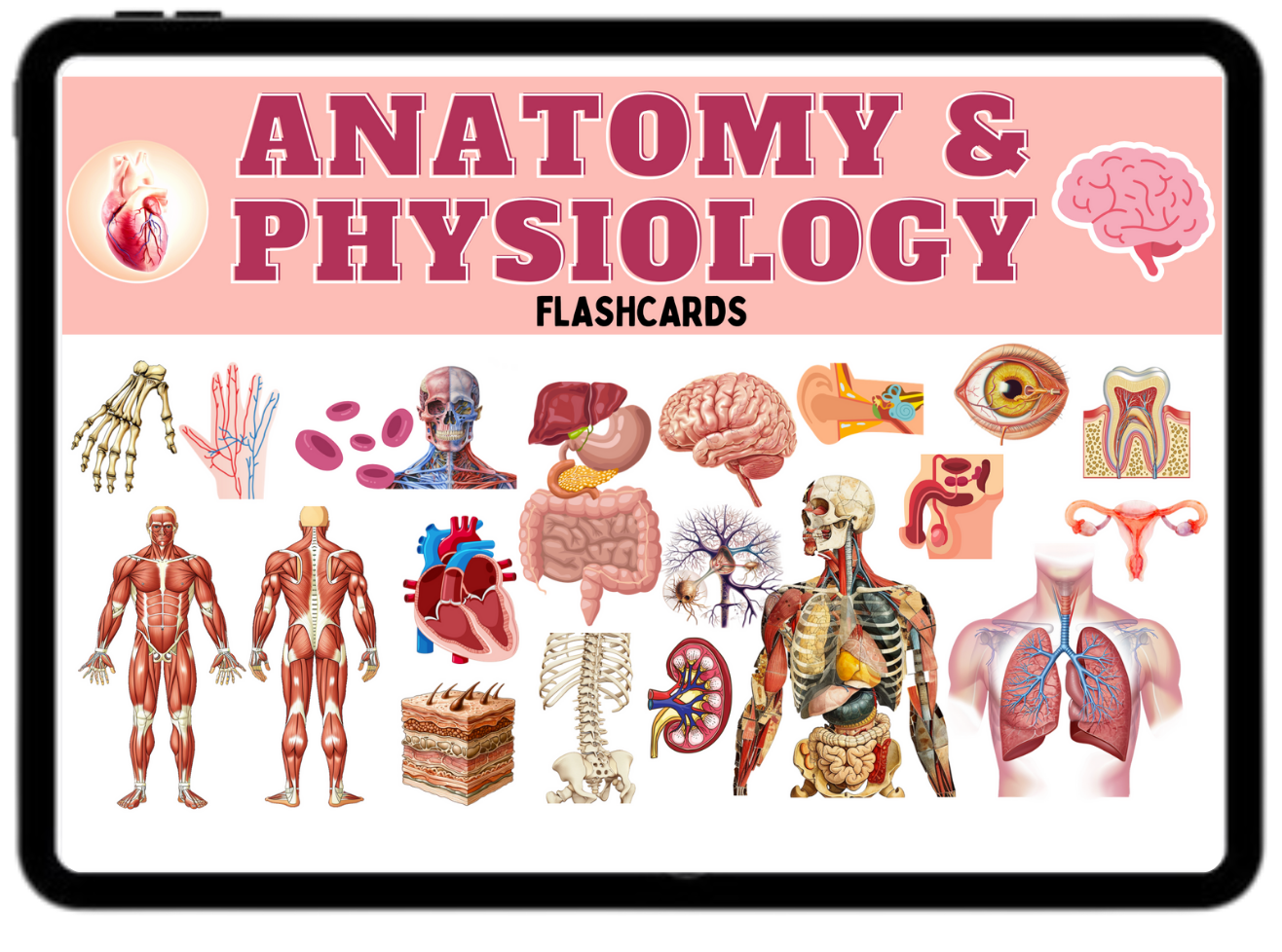 Products – MedSchoolNote